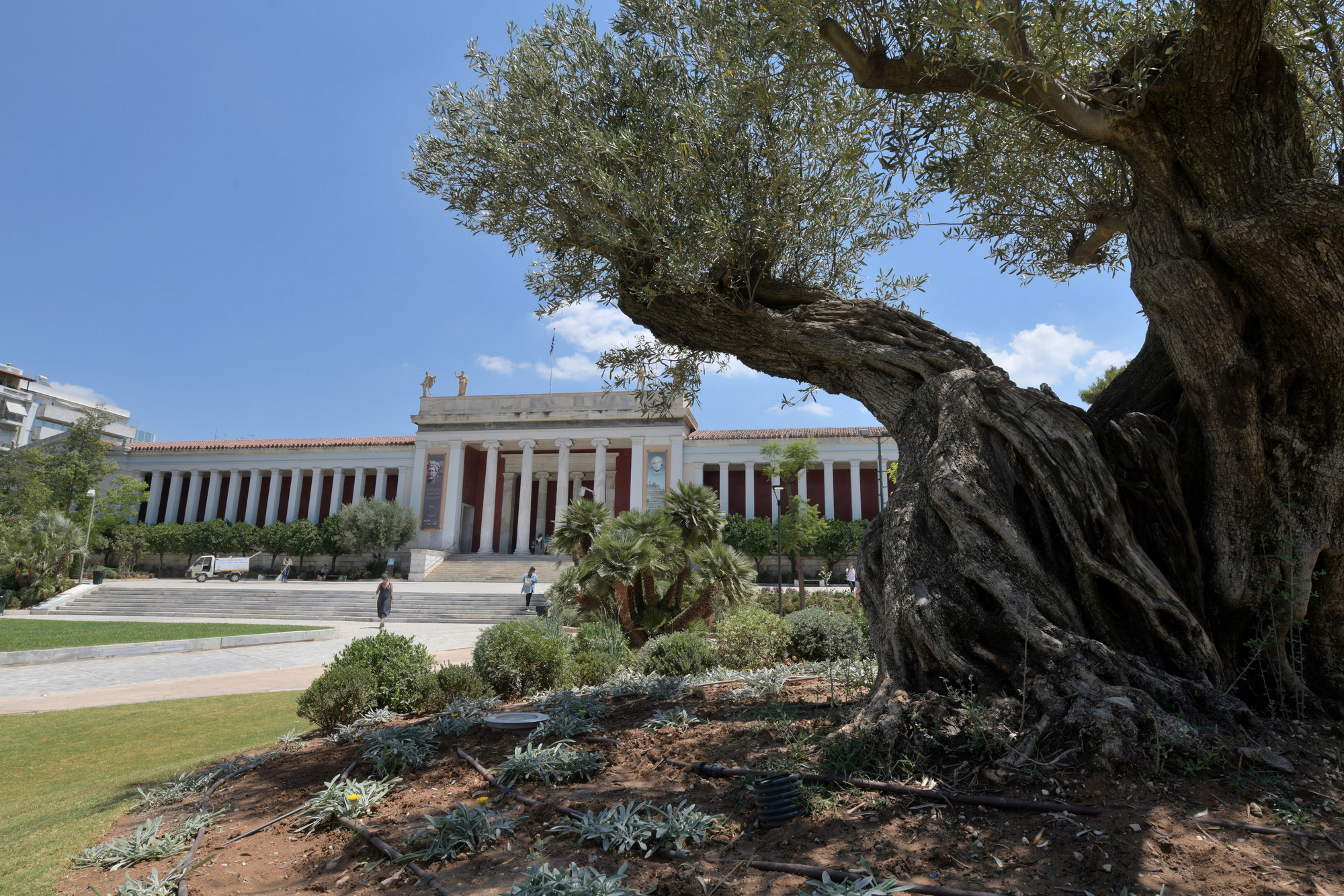 Ο κήπος του Εθνικού Αρχαιολογικού Μουσείου | H πλατφόρμα πολιτισμού του ...